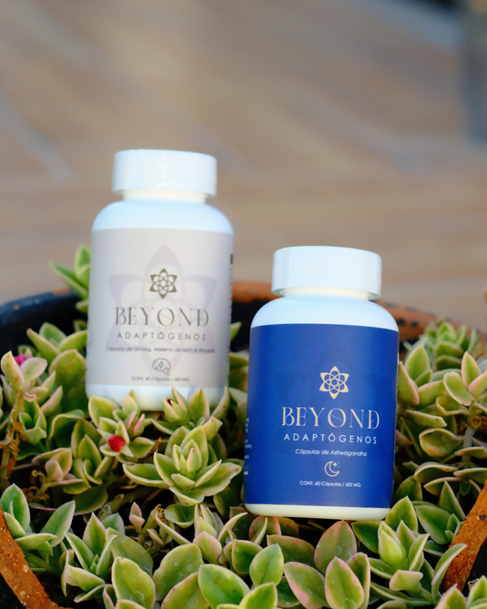 Nutriprime – Nutriprime | Proteinas | Dietas | Nutricion